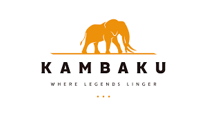 Timbavati Lodges Reservations - Kruger National Park - Timbavati ...