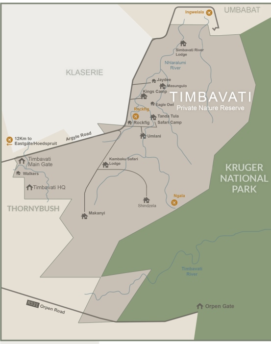 Timbavati Tours - Kruger National Park Safari Packages